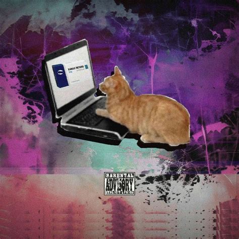 Pink Luu Somethings Not Okay Lyrics Genius Lyrics