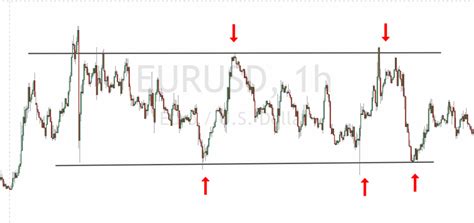 Binary Options Money Management Strategy Tutorial 2023