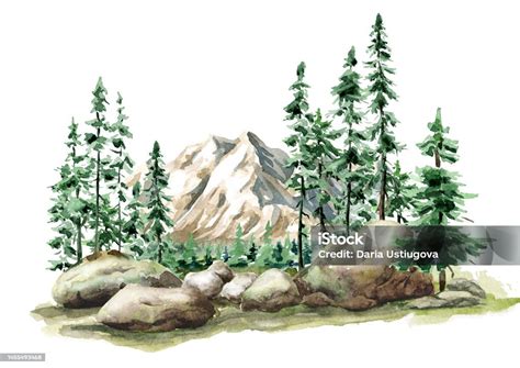 산 바위 전나무가 있는 야생 숲 풍경 흰색 배경에 격리된 손으로 그린 수채화 그림 0명에 대한 스톡 벡터 아트 및 기타 이미지