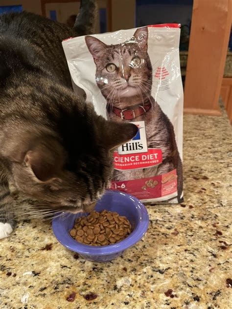 Hills Science Diet Adult Salmon And Brown Rice Recipe Dry Cat Food 65
