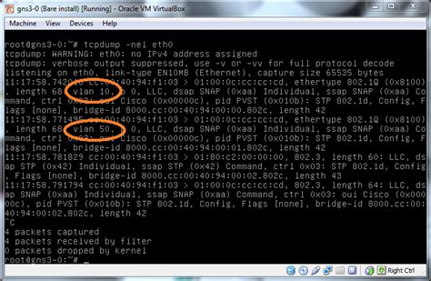 Blog Adding Vlans To The Gns3 Virtualbox Lab Digininja