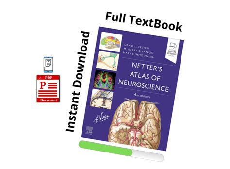 Full Pdf Netters Atlas Of Neuroscience Netter Basic Scien Inspire
