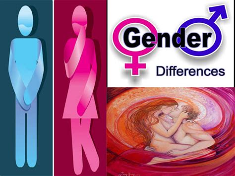 ALL ABOUT THE SEX EDUCATION THE DIFFERENCE BETWEEN MEN AND WOMEN GENDER DISTINTION PHYSICAL
