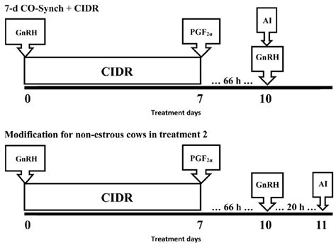 Treatment Schedule For The 7 D Co Synch Controlled Internal