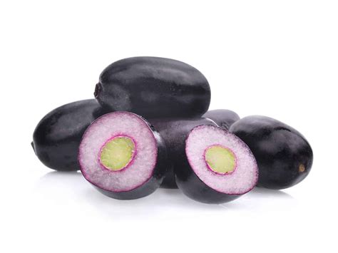 Can Dogs Eat Java Plums Heres What You Should Know