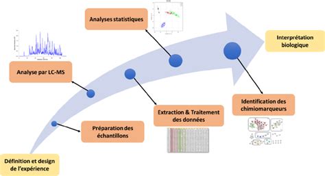 10 Workflow Général Dune Analyse Métabolomique Non Ciblée Par Lc