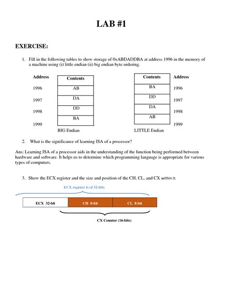 Solution Computer Architecture Organization Course Lab Workbook With