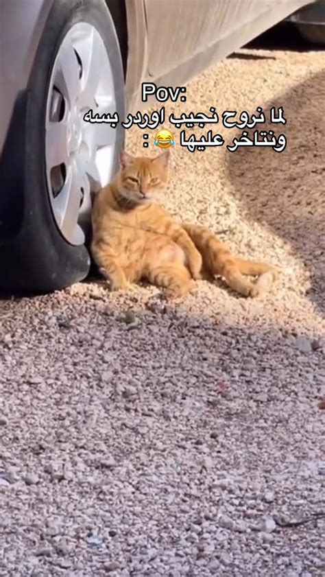 ‎محمد العمري‎ ‎خدمة ألعملاء 0792905498🔥 ️ سيارات توصيل توصيل