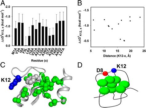 Energetically Significant Networks Of Coupled Interactions Within An