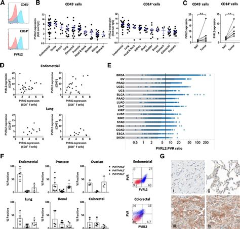 Pvrig And Pvrl2 Are Induced In Cancer And Inhibit Cd8 T Cell Function