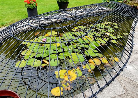 Dome Designs Creative Pond Covers Pond Covers Pond Design Pond