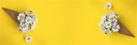 Glasstrut Bilder Bläddra Bland 92041 Stockfoton Vektorer Och Videor