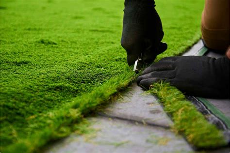 How To Make Fake Grass And Trees For Dioramas Storables