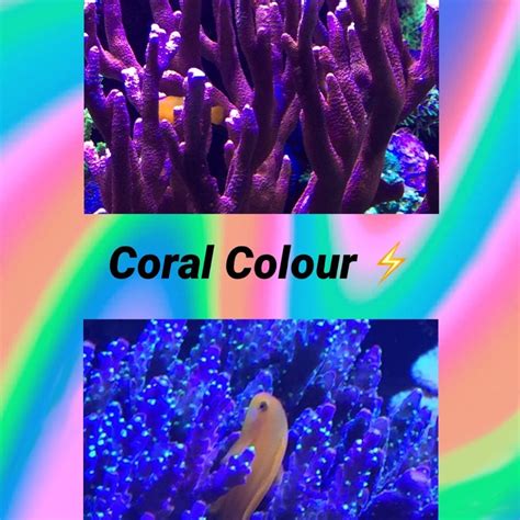 Andrew Mccool On Linkedin Making Waves 😎