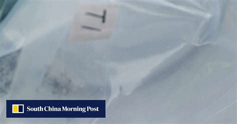 Mosquito Infestation In Hong Kong Reaches ‘alert Level Index Shows