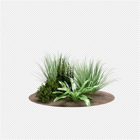 Premium Psd Plant 3d Rendering