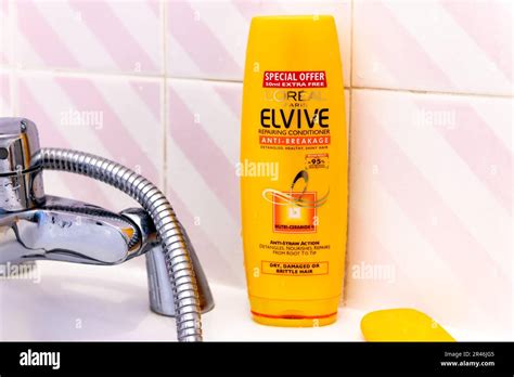 Loreal Shampoo Bottle Design