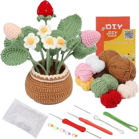 Kit De Crochet Pour Débutants Kit De Crochet Fraise Kit De Démarrage Au Crochet Pour Débutants