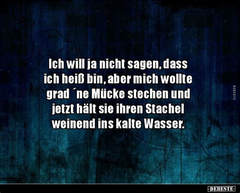 Ich Will Ja Nicht Sagen Dass Ich Heiß Bin Aber Mich Wollte Grad ´ne