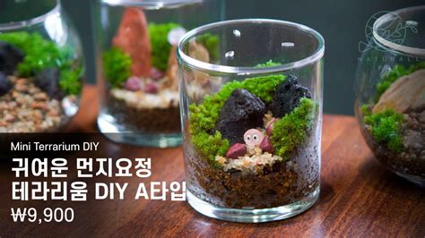 이끼테라리움 키트 12가지 구성품으로 한방에 끝내는 집에서 이끼 키우기 Youtube
