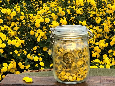 天菊農場 Owlting Market 奧丁丁市集