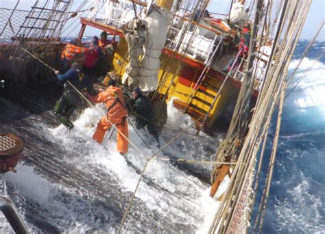 Important Seakeeping And Wave Load Problems Of Offshore Structural