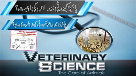 Biosecurity And What Is Its Importancewhy Biosecurity Is So Important At