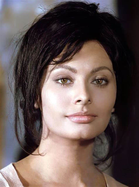 Sophia Loren Sofia Loren Sophia Loren Beauty