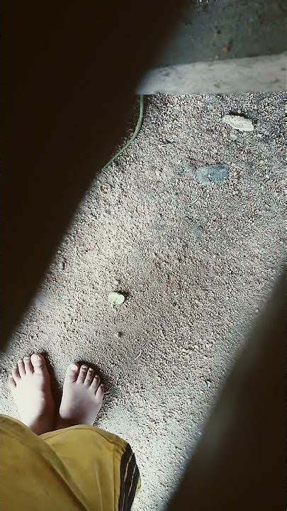 លន់នល់ Youtube