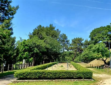 Is Nagoya Castle Worth Visiting