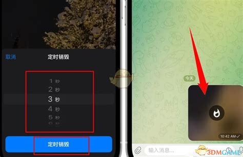 Telegram Telegram