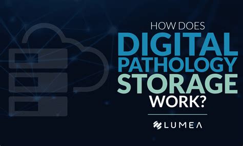 How Does Digital Pathology Storage Work Lumea