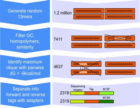 pipeline for generation of static tag library we generated 1 2 million