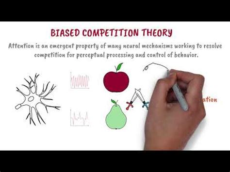 Biased Competition Theory Minseducation