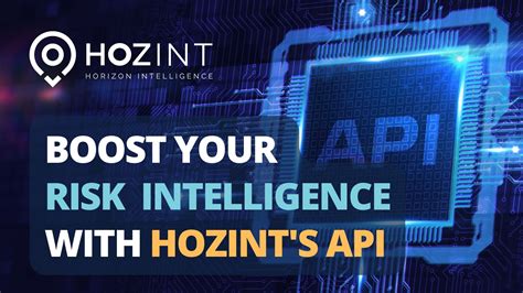 Application Programming Interface API For Risk Intelligence HOZINT