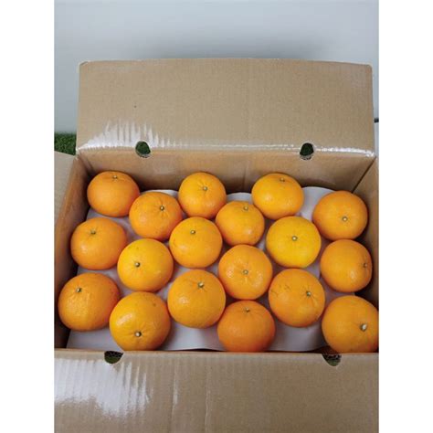 Jual Jeruk Honey Murcot 1kg Shopee Indonesia