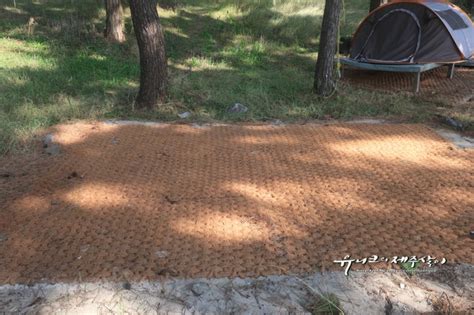 제주 캠핑장 금능 협재해수욕장 제주도 바다뷰 야영장 네이버 블로그