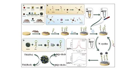 “two In One” Ptpdcu Trimetallic Multifunctional Nanoparticles Mediated Dual Signal Integrated