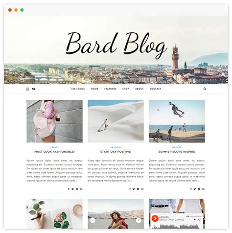 Bard Blog Pro Version Wp Royal Themes