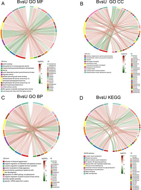 Proteomic Analysis Of Skin Melanin Deposition Models Ccid