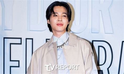 방탄소년단 지민 美레코드산업협회 플래티넘 인증 획득 네이트 연예