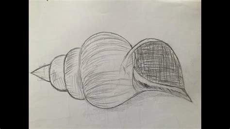 Top 30 Tranh Tô Màu Con Ốc Update