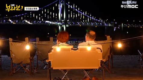 봄 나들이 가기 좋은 부산 김해 흥동 목련숲 무료 광안리 해변 영화관 낙동강 벚꽃길 반송 큰시장 야간 상설 운동