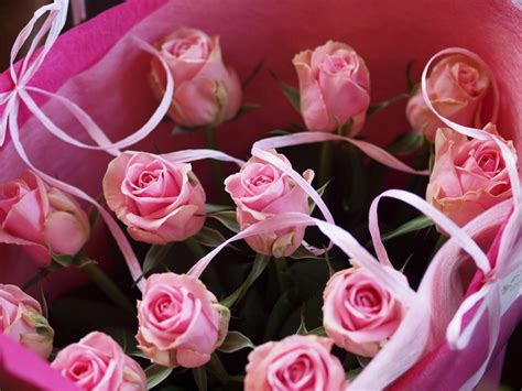 Healing Rose