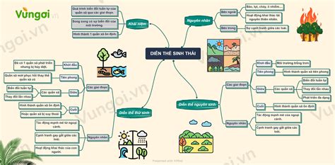 Lý thuyết sơ đồ tư duy diễn thế sinh thái sinh