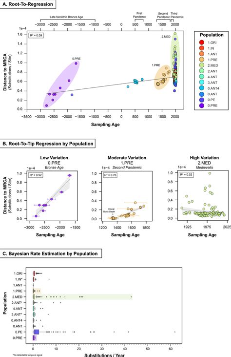 Substitution Rate Variation In Y Pestis A A Root To Tip Regression On