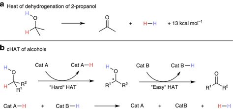 Dehydrogenation Reaction