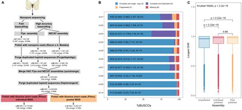The Genome Of The Margined White Butterfly Pieris Macdunnoughii Sex
