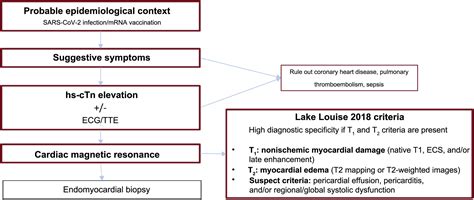 Myocarditis Related Sars Cov 2 Infection Or Vaccination An Expert