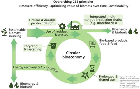 Circular Bio Economy And Bio Energy C Green